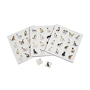 Laurence King Cat Bingo