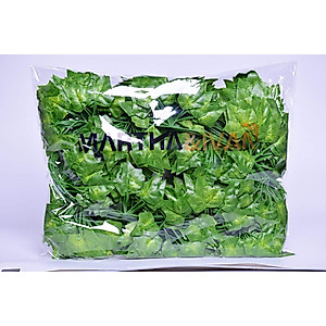 MARTHA&IVAN 14 Strands Artificial Ivy, Fake Ivy Garland Decorations,Fake Plants,Fake Vine,Vine Decoration for Wedding,Party, Garden, Home Decoration (14 Strands)