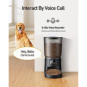 Tccbac Automatic Cat Feeder, 5L Timed Dog Feeder Food Dispenser with Desiccant& Voice Recorder Function, 1-6 Meals Per Day,1-20 Portion Per Meal Stainless Steel Bowl for Pet