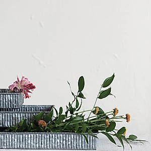 Creative Co-Op Metal Nesting, Set of 3 Sizes, Antique Galvanized Finish Decorative Tray, Silver