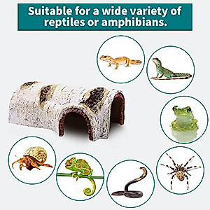 Aufeeky Reptile Hides and Caves, Reptile Hide Birch Tree Bark Trunk, Gecko Hides and Caves for Snake Leopard Gecko Ball Python Bearded Dragon Tortoise Turtle