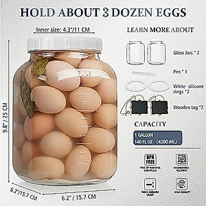 2 Pack Wide Mouth 1 Gallon Clear Glass Jar with Lid, Heavy Duty Airtight Screw Lid with Silicone Gasket - Large Mason Jar with 2 Scale Mark for Fermenting Kombucha and Storing Food(Extra 2 Gaskets)