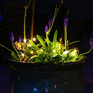 kemooie 2 Packs Solar String Lights, Total 200 LED 66FT 8 Twinkle Modes Warm White Solar Powered Fairy Lights, Waterproof for Outdoor, Tree, Garden, Christmas Decorations (Warm White)