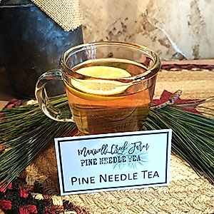 Organic Pine Needles for Tea | FRESH NOT DRIED | Maxwell Creek Farm | Loose Needles | Immune Boosting | Includes Trial Custom Blend Pine Needle Tea Bag! (2 Ounce Trial)