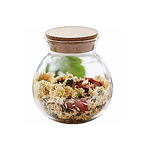 Snminetal 17oz Glass Jar Storage Containers,Wedding Candy Jar Kitchen Canisters, With Cork Airtight Lid, Perfect For Tea, Biscuits, Cereals, Flour, beans, Spices, Coffee Beans (2PCS)