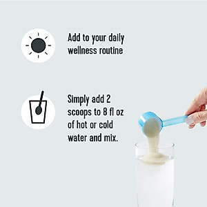 Vital Proteins Marine Collagen Peptides Powder Supplement for Skin Hair Nail Joint - Hydrolyzed Collagen - 12g per Serving - 7.8 oz Canister