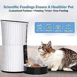 Casfuy Automatic Cat Feeders - 4L Auto Timed Pet Feeder Dry Food Dispenser for Dogs & Cats with Voice Recorder Portions Control Slow Feed Dual Power Supply 6 Meals Per Day