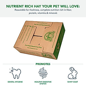 Viking Farmer Orchard Grass for Rabbits & Small Pets, 5 lbs