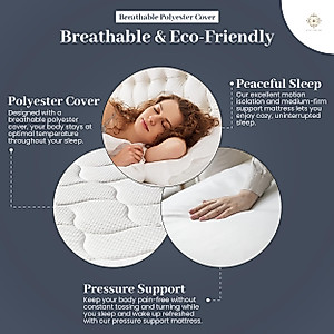 Short Queen RV Mattress - 6 Inch Cool Comfort Foam & Spring Hybrid Mattress with Breathable Organic Cotton Cover - Quilted Soft Tight Top - Rolled in a Box - Oliver & Smith