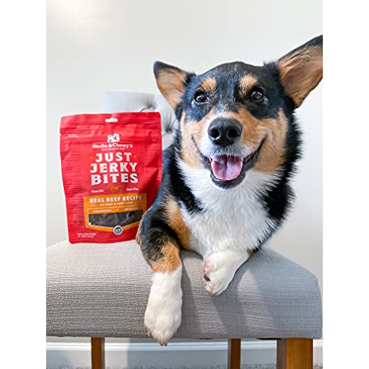 Stella & Chewy's Just Jerky Bites Real Salmon Recipe Dog Treats, 6 oz. Bag