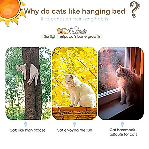 Cat Window Hammock Perch Cat Safety Sunny Bed with Durable Heavy Duty Suction Cups Resting Sunny Window Seat for Indoor Cats Sleeping Space Saving Window Mounted Cat Bed Holds Up to 30lbs (Blue)