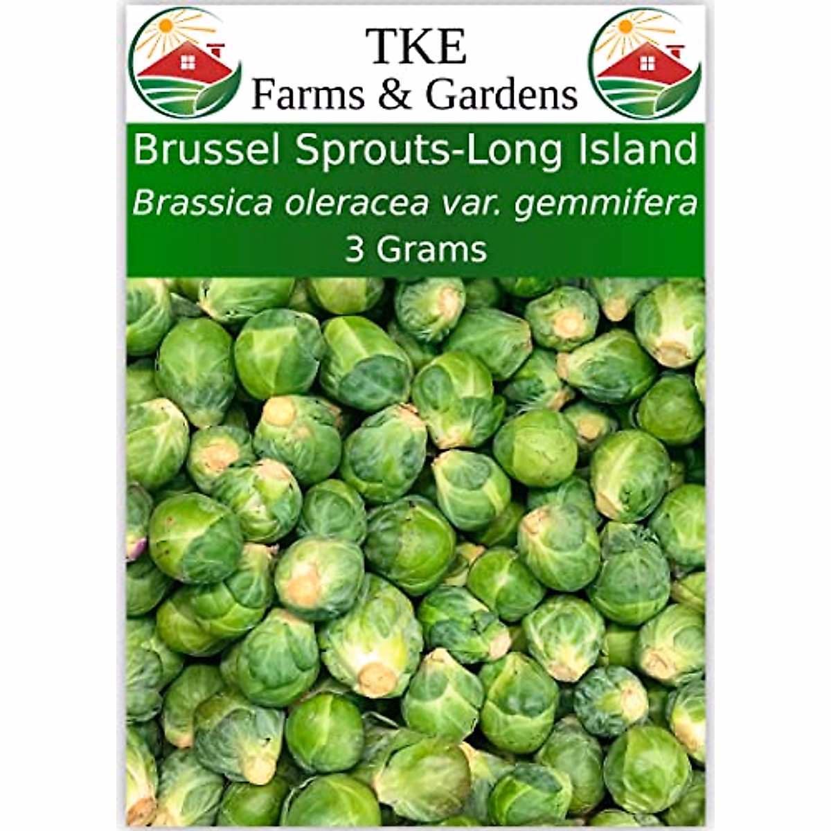 TKE Farms - Brussel Sprout Seeds for Planting, Long Island Improved, 3 Grams ≈ 750 Seeds, Brassica oleracea VAR. gemmifera