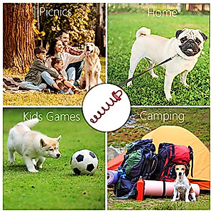 Pet Fit For Life Dog Tie Out Stake - Heavy Duty Yard Stake for Dogs with Swivel Ring for Cable Attachment - Safe for Dog or Puppy in Yard, Park, Camping or Beach