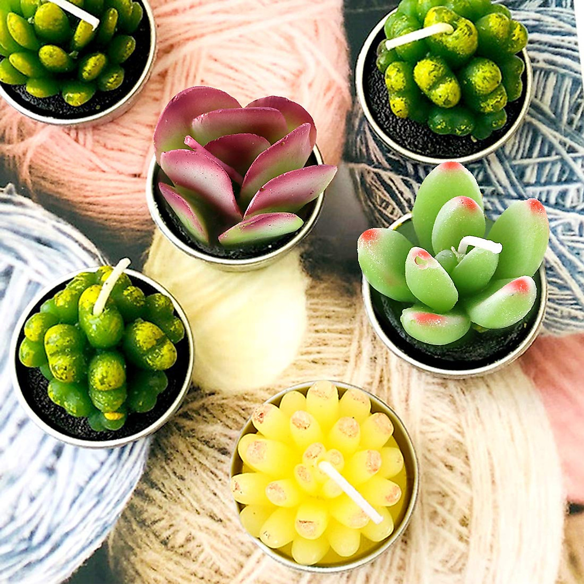 Glarks Cute Tea Lights Tealight Candles, Succulent Cactus for Birthday Party Valentine's Day Wedding Spa Home Decor and DIY Gift, 12Pcs a Pack