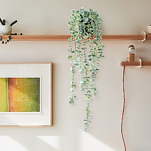 BACAMA Fake Hanging Plant Eucalyptus Small Decor Faux Hanging Vine Plants Wall Greenery for New Home Decoration 1PCS Bright Green 23.6Inches