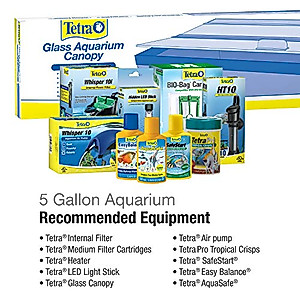 Tetra Glass Aquarium 5.5 Gallons, Rectangular Fish Tank