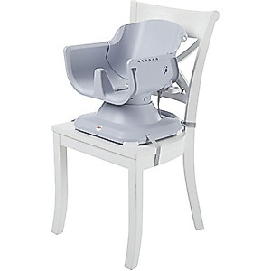 Fisher-Price Baby to Toddler High Chair SpaceSaver Portable Dining Seat & Booster with Washable Deep Tray & Liner, Windmill