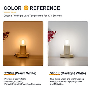 TOKCON 12 Volt Low Voltage LED Light Bulbs - Soft Warm 2700K 2W (Only for 12V DC/AC)- 25W Equivalent E26 Edison Base Small Globe Bulb for RV, Landscape Lights - 3 Pack