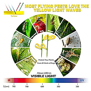 90PCS Yellow Sticky Traps for Indoors/Outdoor Gnat Traps for Plants Fungus Gnats Sticky Traps for Whiteflies Mosquitoes Fruitflies Thrips Aphids. Stake Holders Included Dual-Sided