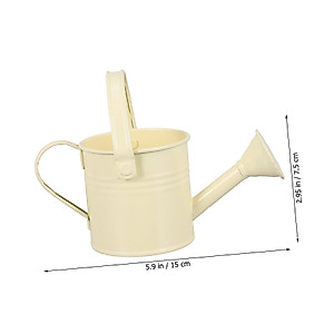 10 pcs Pour and Sprinkler Can Mini Spout Galvanized Plant Portable Yard Tin Pot Succulents Long Bucket Small for Cans Shabby Spray Kettle Display Metal Watering Sturdy