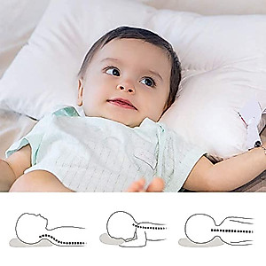 Toddler Pillow with Pillowcase | 13 x 18 Soft Hypoallergenic 100% Organic Cotton Baby Pillows for Sleeping | Small Kids Pillow, Infant - Perfect for Travel, Cribs Bed Sets, Machine Washable