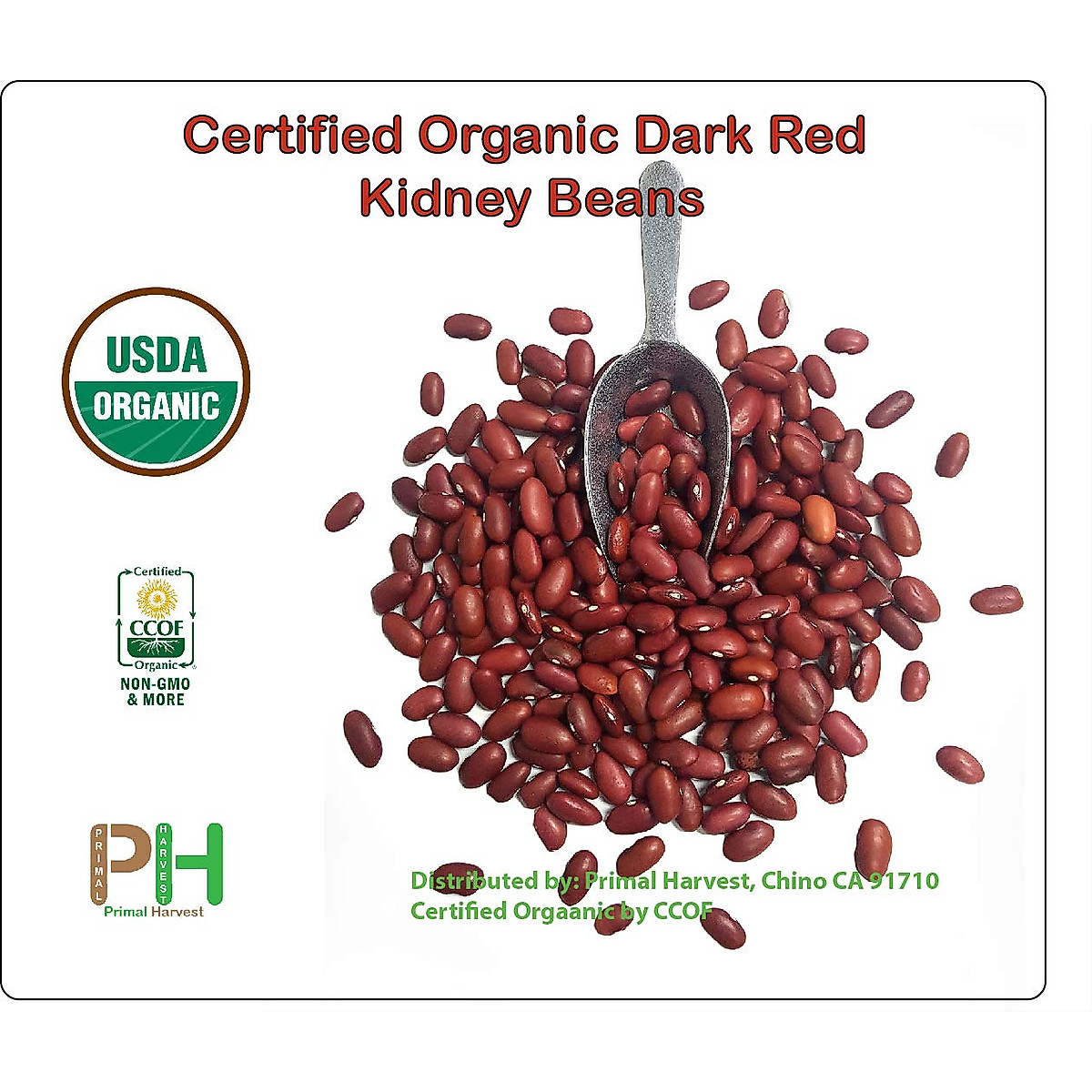 Organic Dark Red Kidney Beans- Fiber & Protein rich, Raw, Non-GMO, Vegan Bulk-1LB