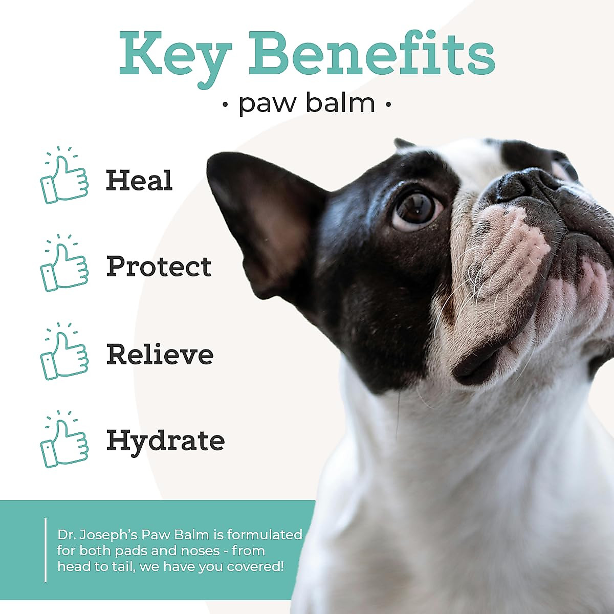 VetPro Complete Dog Paw Balm for All Dogs and Cats - Natural Protection and Paw Soother for Dry Pads and Noses - Vet Formulated Paw Butter and Dog Foot Cream - Dog Nose Balm and Dog Feet Protection