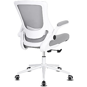 Misolant Desk Chair, Mesh Office Chair, Ergo Chair, Ergonomic Office Chair with Adjustable Lumbar Support and Height, Office Desk Chair 360°Swivel Office Chair (Light Gray)