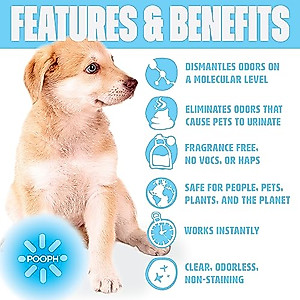 Pooph Pet Odor Eliminator, 32oz Spray - Dismantles Odors on a Molecular Basis, Dogs, Cats, Freshener, Urine, Poop, Pee, Deodorizer, Natures, Puppy, Fresh, Clean, Furniture, Potty, Safe