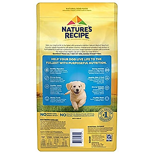 Nature′s Recipe Dry Puppy Food, Grain Free Puppy Chicken, Sweet Potato & Pumpkin Recipe, 4 lb. Bag