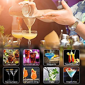 Cocktail Shaker Set, 23-Piece Boston Stainless Steel Bartender Kit with Acrylic Stand & Cocktail Recipes Booklet, Professional Bar Tools for Drink Mixing, Home, Bar, Party (Include 4 Whiskey Stones)