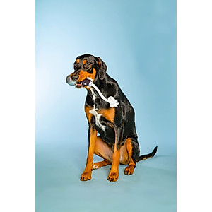 Doggy Parton Black Microphone Toy - O/S