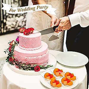 500 Pcs 4 Inch Appetizer Spoons Tear Drop Mini Appetizer Plates Plastic Catering Supplies Disposable Appetizer Tasting Spoons Asian Spoon for Desserts and Appetizers Sample Serving Party(Clear)