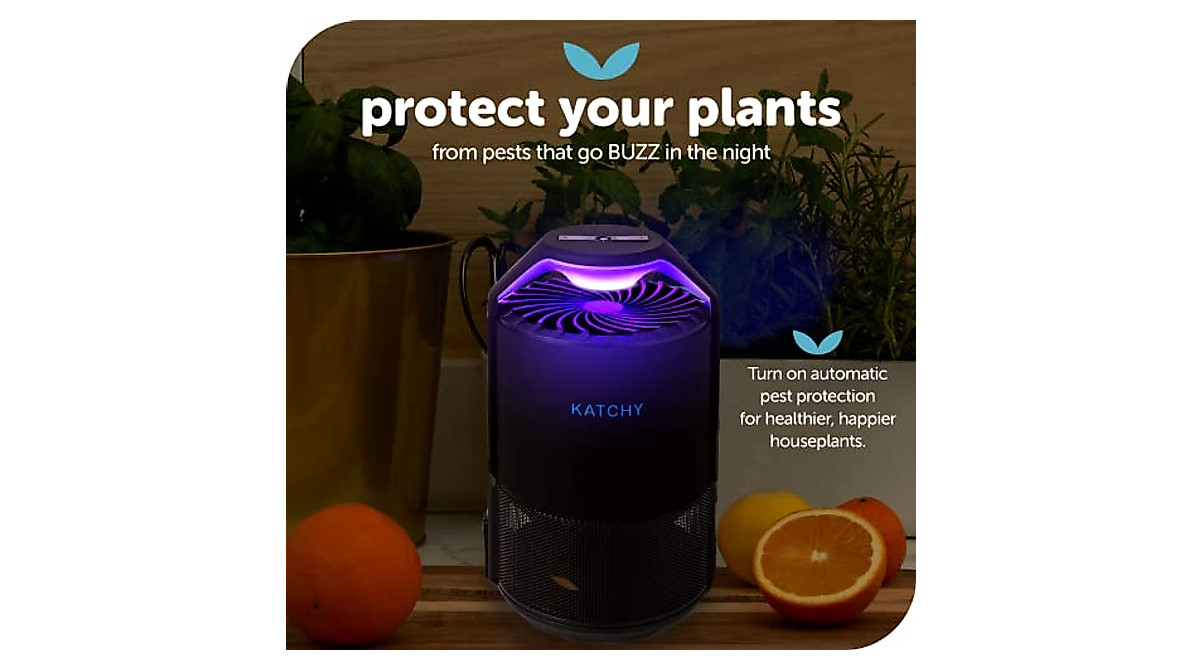 Katchy Midnight Indoor Insect Trap for Fruit Flies & Gnats