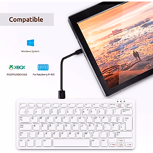 SunFounder 13.3 Inch Display IPS Portable Screen for Raspberry Pi, 2 HDMI Monitor 1920x1080 Gaming Monitor for Ps4 Raspberry Pi WiiU Xbox 360 Windows 7/8/10