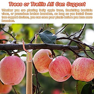 10 Pcs Metal Tree Support, Tree Straightening Device, Branch Crutch - Prevent Branches from Breaking for Vineyards Ornamental Gardens Orchards, Fits 0.75 inch Pole, Pipe, Bamboo, Wood Stakes