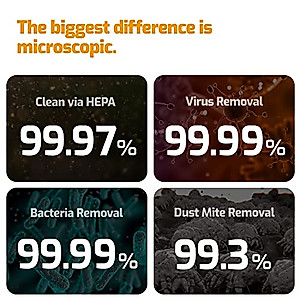 Raycop RN Bed Vacuum Cleaner with UV Light and Pulsating Brush Technology for Pet Hair Cleaning - 15Kpa Powerful Suction - Anti-allergen Handheld Mattress Vacuum Cleaner - HEPA Filtration