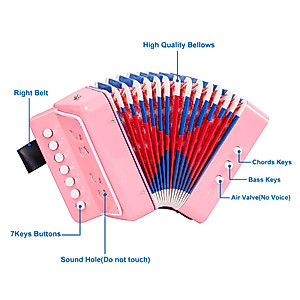 Kids Accordion, 10 Keys Control Button Accordion Musical Instruments for Kids Children Beginners Lightweight and Environmentally-friendly