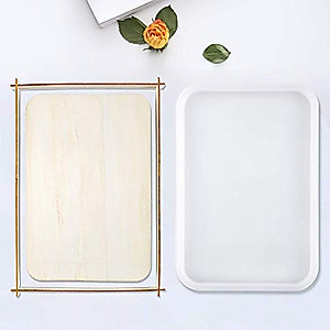 World Backyard Silicone Tray Mold,Rectangle Rolling Resin Tray Molds,Large Rolling Tray Molds for Epoxy Resin,Serving Tray Resin Molds with Edges,Resin Casting,DIY Jewelry Holder,Home Decoration…
