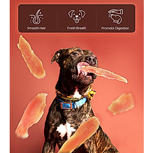 PUPIHOM Chicken Jerky Dog Treats for Dogs 16 OZ 1LBS, Rawhide-Free, Made with Real Breast, Long-Lasting Treats, Dog Training Reward Snacks Dog Chewy Treats