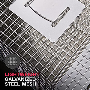 Animal Trap (32"x10"x12") - Best Humane Animal Trap for Gophers, Racoons, Possums, Groundhogs, Beavers and Other Similar Sized Animals. Easy Trap Catch & Release cage with 1-Door by LifeSupplyUSA