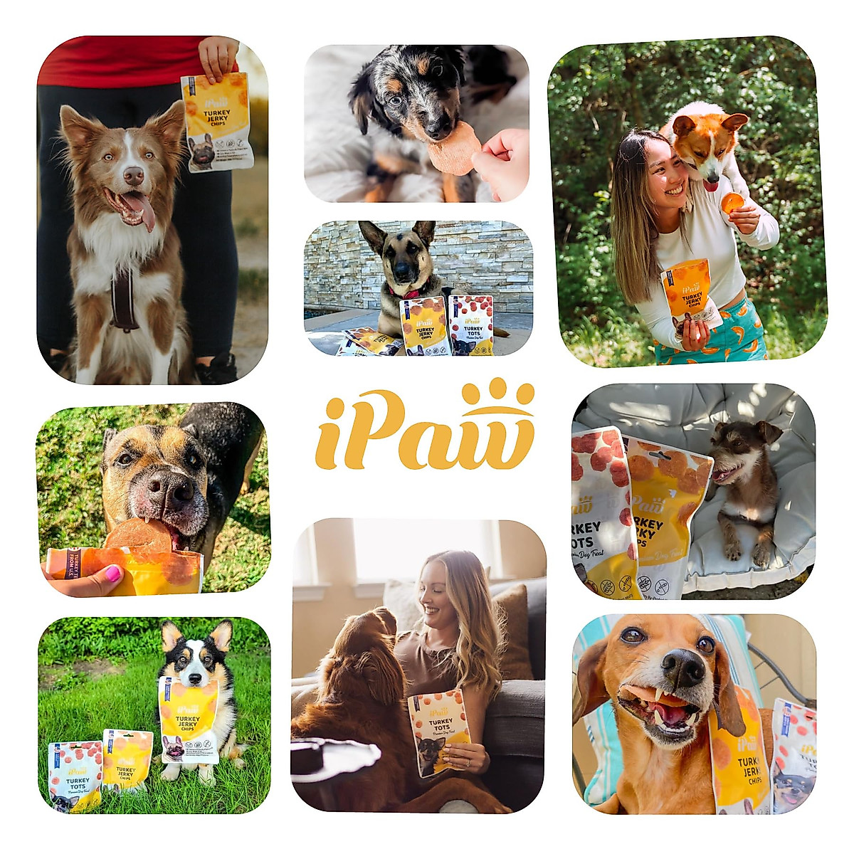 iPaw Dog Sweet Potato Chews Made in USA, Single Ingredient Dog Treats for Vegetarian, All Natural Human Grade Puppy Chew, Rawhide Alternative, Hypoallergenic, Easy to Digest