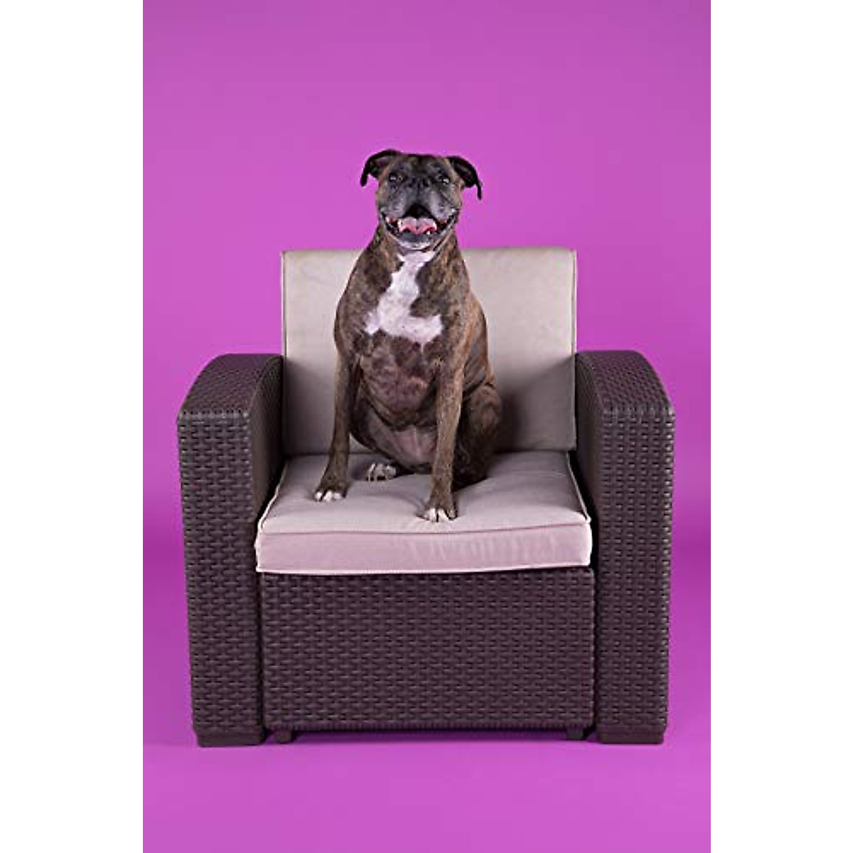 Flash Furniture Chocolate Brown Faux Rattan Chair with All-Weather Beige Cushion