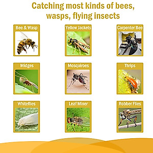 2 Pack Wasp Traps Outdoor, Yellow Jacket Killer, Reusable Carpenter Bee Traps for Outside, Plastic Bee Catcher Hornet Trap for Garden, Farm, Insect Killer, Yellow