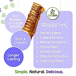 Nature Gnaws Beef Trachea for Dogs - Premium Natural Beef Bones - Simple Single Ingredient Crunchy Dog Chew Treats - Rawhide Free 6 Count (Pack of 1)