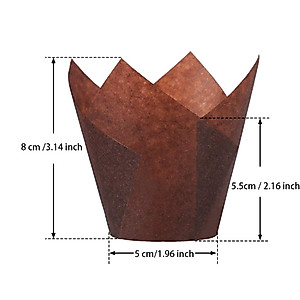 Sinrier 200 Count Tulip Baking Cups Cupcake Muffin Liner for Weddings, Birthdays, Baby Showers, Colourful and Natural（Ten color）