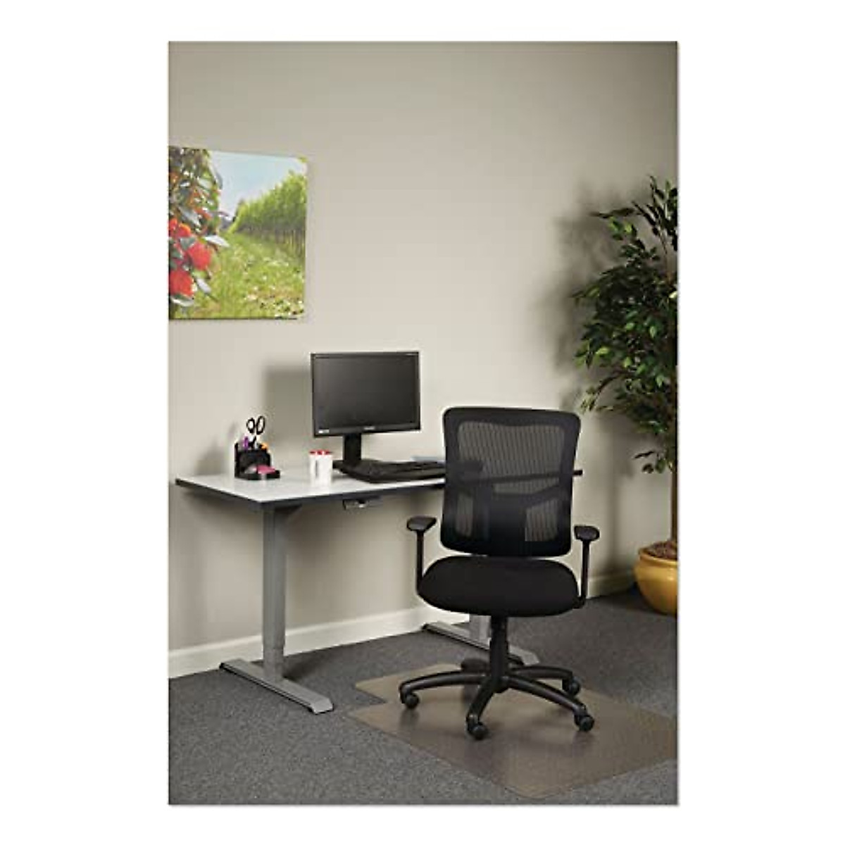 Alera ALEELT4214F Elusion II Series 275 lbs. Capacity Mesh Mid-Back Swivel/Tilt Chair with Adjustable Arms - Black