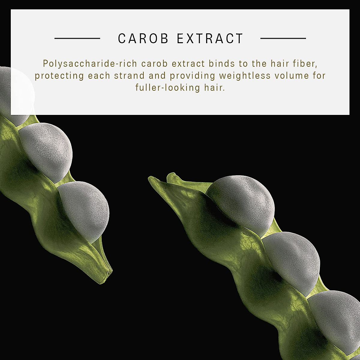 Rene Furterer VOLUMEA Volumizing Foam - For Fine, Limp Hair - Lightweight - Thickening & Long-Lasting Volume - 6.8 fl. oz.