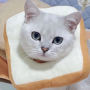 Rehomy Adjustable Cat Cone Collar Soft, Cat Recovery Collar, Cone for Cat After Surgery, Cat Neck Cone, Elizabethan Collar for Cat and Kitten