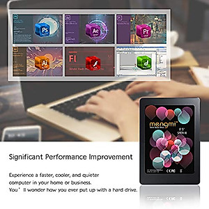 mengmi SSD 240GB 2.5 Inch Internal Solid State Drive SATA III for Boosting PC/Laptop (SSD 240GB)